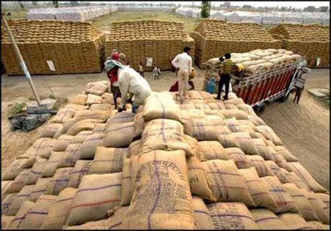 Agriculture Consultancy Agriculture Commodity Procurement Planning