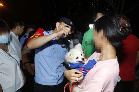 【夏季治安打击整治“百日行动”】（三十四）：提高安满度、共建和谐社会发展澎湃号·政务澎湃新闻 The Paper