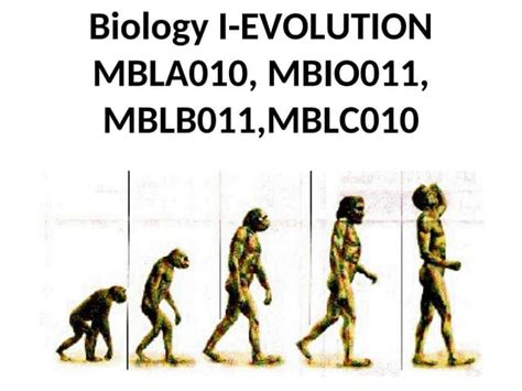 Biology Ppt Evolution Class Xiipptx