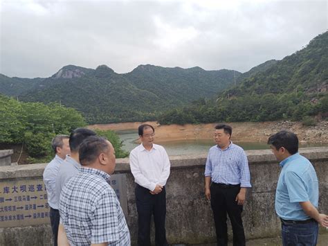 缙云县级河湖长何海龙带队开展巡河活动