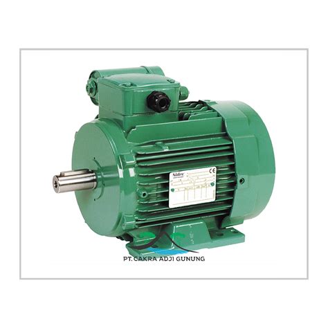 Leroy Somer Electric Motor Pt Cakra Adji Gunung