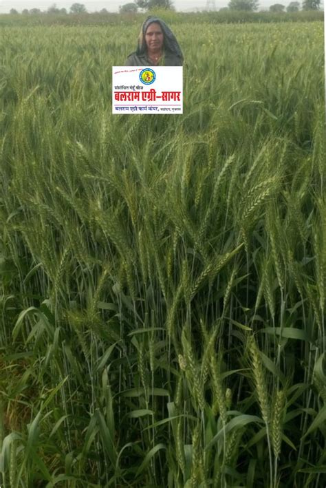 Sahdev Singh Dangi Posted On Linkedin