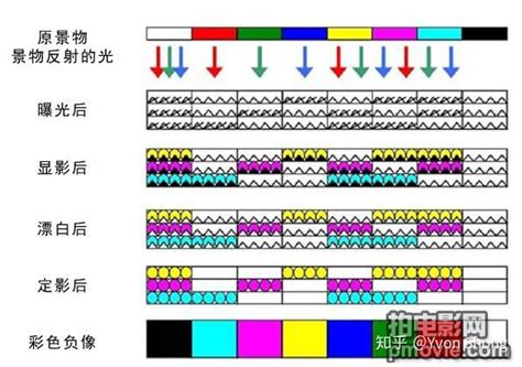 键盘摄影（四）——相机成像元件：胶片与彩色暗房 知乎