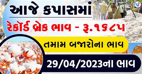 Vishabd આજે કપાસમાં રેકોર્ડ બ્રેક રૂ1685 ભાવજાણો આજના કપાસના તમામ