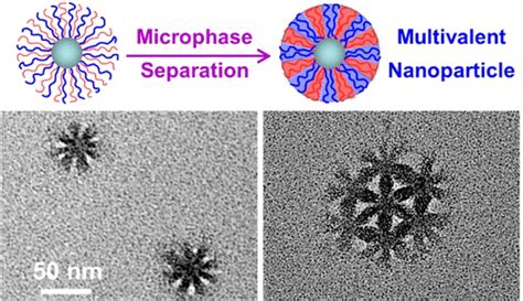 Adaptable Multivalent Hairy Inorganic Nanoparticles Journal Of The