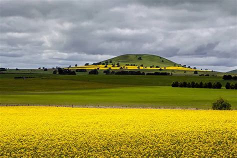 Monitoring Longevity Of Catchment Health Initiatives Alluvium Group