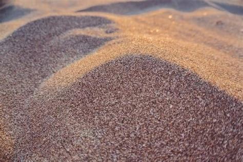 Découvrez Le Sol Sableux Propriétés Composition Et Caractéristiques