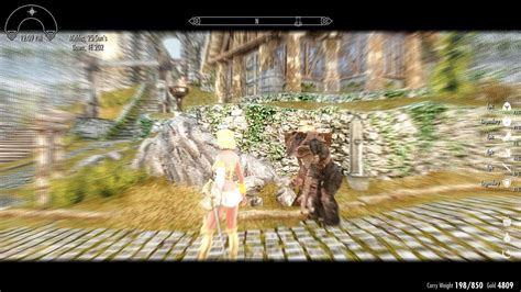 Radial Blur And Brightening When I Zone Into Whiterun Riften Skyrim Technical Support Loverslab