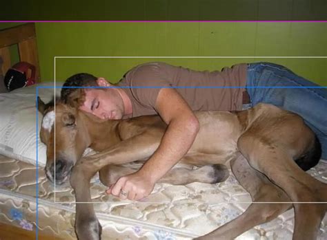 WTF COCO The Weird Images That Underpin Modern Computer Vision Models