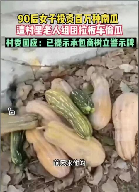 被偷瓜女主删了视频，村名曝光后被标“小偷村”，老人子女被喊话 知乎