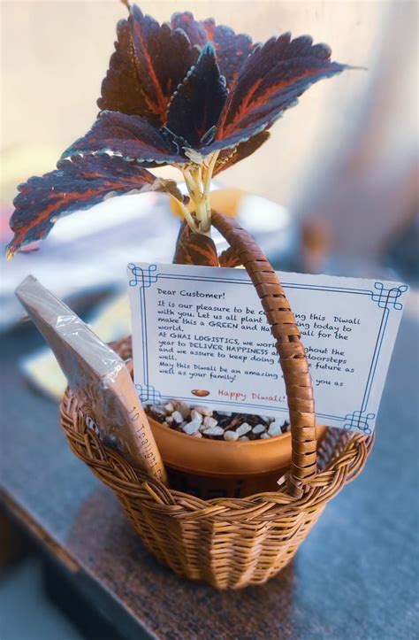 Diwali Company Ghailogistics Sustainability Community Environment