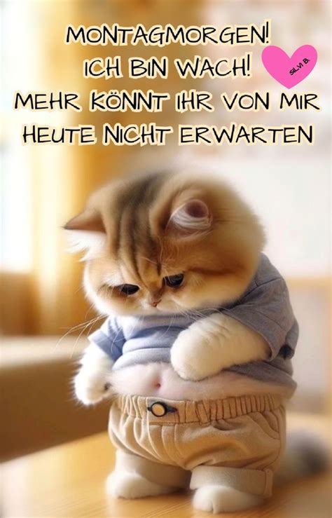 20 Guten Morgen Lustig Neu In 2024 Funny Good Morning Memes Good