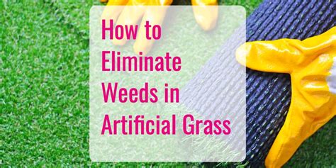 How Do I Kill Weeds In My Artificial Grass A Thorough Guide