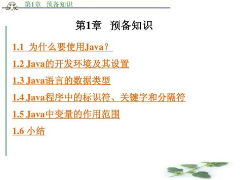 第一章 java的基本概念 word文档在线阅读与下载 无忧文档