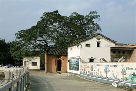 美丽宜居新农村——揭阳大东山