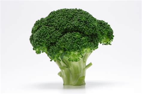 野菜と果物が身体に良い理由って！？赤、緑、黄色の3色が鮮やかな野菜と果物にはこんな秘密が隠されていた Life（ライフ）