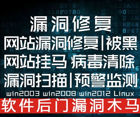 软件后门检测exe程序木马检查分析杀毒服务环境安全加固维护漏洞 虎窝淘