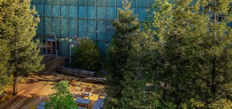 Gothic Landscape Commercial Landscaping Experts Frank Esqueda