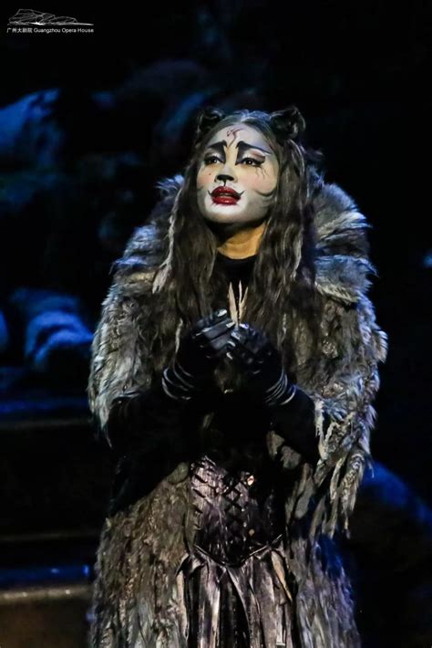 音乐剧猫魅力猫图片音乐剧猫魅力猫第7页大山谷图库