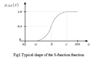 Typical Shape Of The S Function Function Download Scientific Diagram