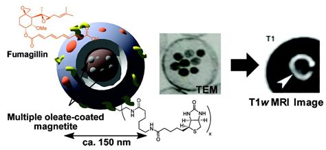 Nanomaterials Special Issue Magnetic Nanomaterials