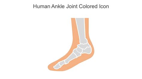 Human Ankle Joint Colored Icon In Powerpoint Pptx Png And Editable Eps