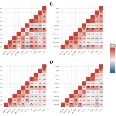Heatmap Of Pearsons Correlation Coefficients Between Bone Traits Bbs