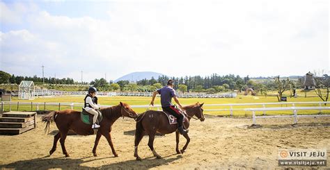 목장카페 드르쿰다