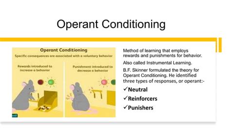 Innate And Learned Behavior Pdf Science