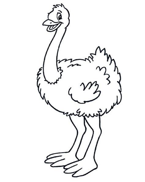 Desenhos De Avestruz Para Colorir E Imprimir Colorironline