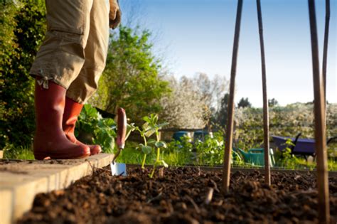 Grab N Grow Soil Products Directory GO LOCAL