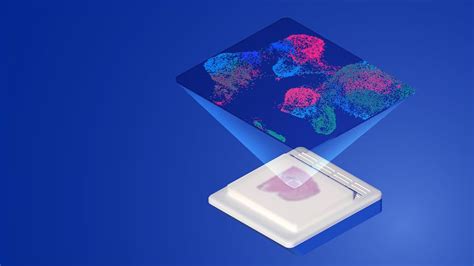 How Ffpe Compatibility Improves Single Cell Analysis 10x Genomics Posted On The Topic Linkedin