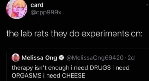 Meme Aggregator 30 Album On Imgur