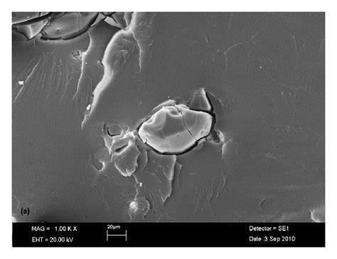 SEM Image A PMMA L 1 B PMMA L 2 C PMMA L 3 Download Scientific Diagram