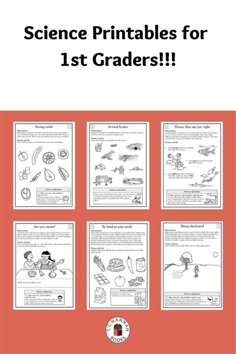 Science Printables For 1st Graders Science Printables 1st Grade