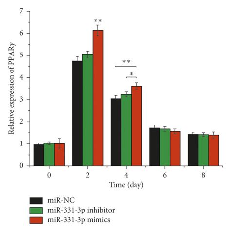 mir 331 3p expression during preadipocyte differentiation and