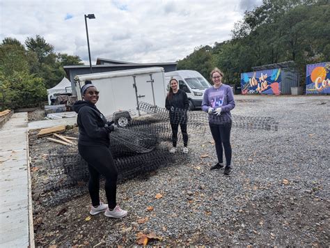 Tree Protection Prep Day Tree Pittsburgh
