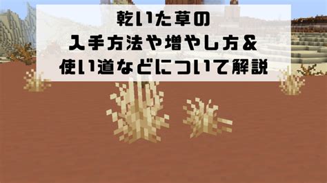 【マイクラ】新たに追加された20種類の絵画の見た目と名前を画像付きで解説！【アップデート121】