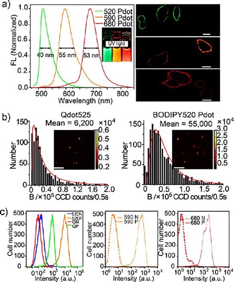 Recent Advances In The Development Of Highly Luminescent Semiconducting Polymer Dots And