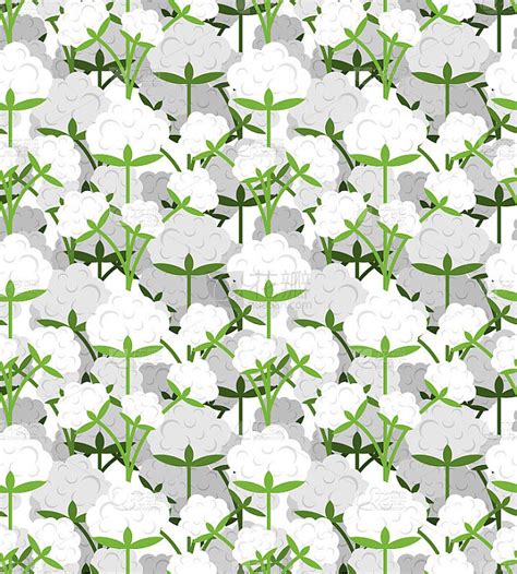 棉花模式无缝。拍花朵背景。棉花花序结构