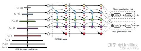 Rt Detr改进策略【neck】 Bifpn：双向特征金字塔网络 跨尺度连接和加权特征融合 知乎