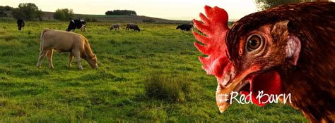 Red Barn Free Range Chicken And Farm Shop