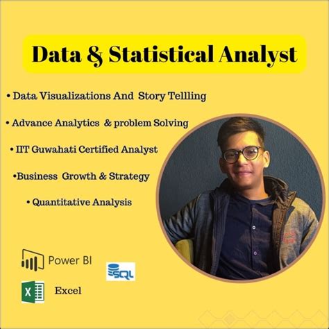 do data entry statistical analysis and create dashboards by
