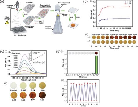 a schematic presentation of the fabrication of pmda dca and its