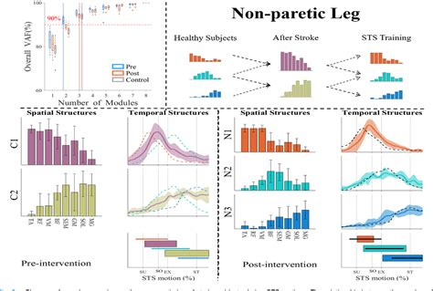 Figure 1 From Exoskeleton Assisted Sit To Stand Training Improves Lower Limb Function Through