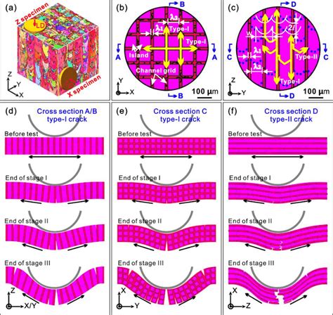 Ab Overall Morphology And Microstructure Of Z And X Specimens C D
