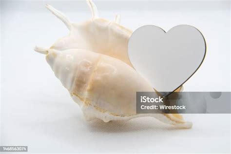 하트 모양의 거울과 흰색 배경에 소라 껍질과 텍스트 공간이 있는 껍데기에 대한 스톡 사진 및 기타 이미지 껍데기 꼭대기 사랑 Istock