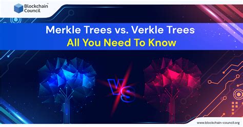 merkle trees vs verkle trees all you need to know blockchain council