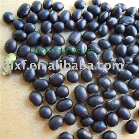 Black Bean With Green Kernel China Xinfeng Price Supplier 21food