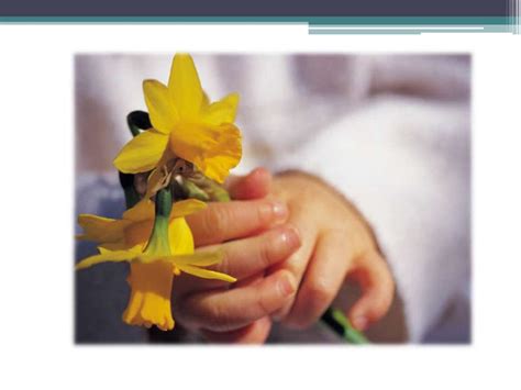 Деепричастный оборот Знаки препинания в предложении с деепричастным оборотом презентация онлайн